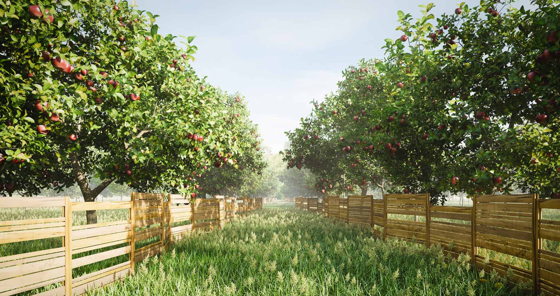 Where are fertilizers used.