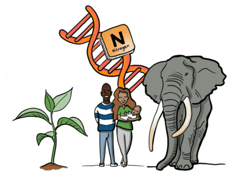 Global Fertilizer Day - Fertilizer